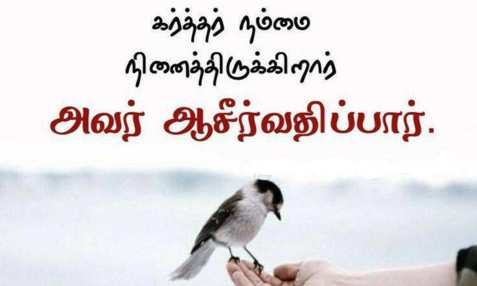 Adada Adada Adada Song Lyrics - TamilGuru